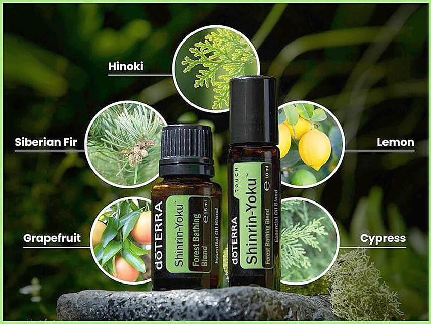 Cō-Impact Sourcing von dōTERRA – therapeutic-oils